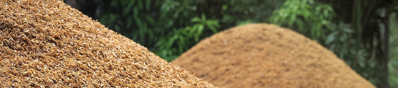 Conheça os principais tipos de biomassa e como otimizar seu uso!