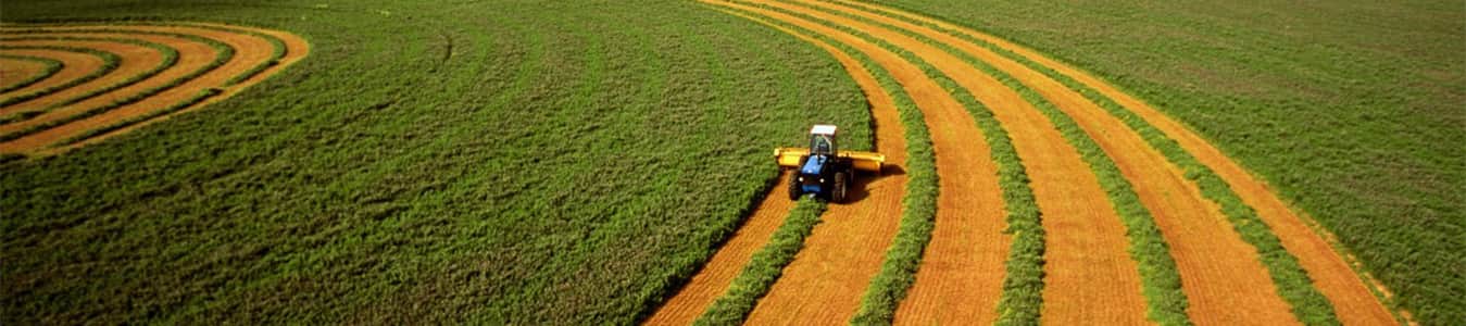 4 dicas de como planejar as compras de insumos agrícolas - Armac