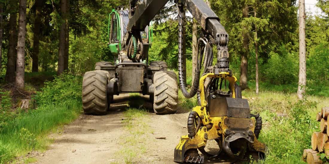 Maquinas Florestais Máquina Florestal: Top 5 Mais Importantes